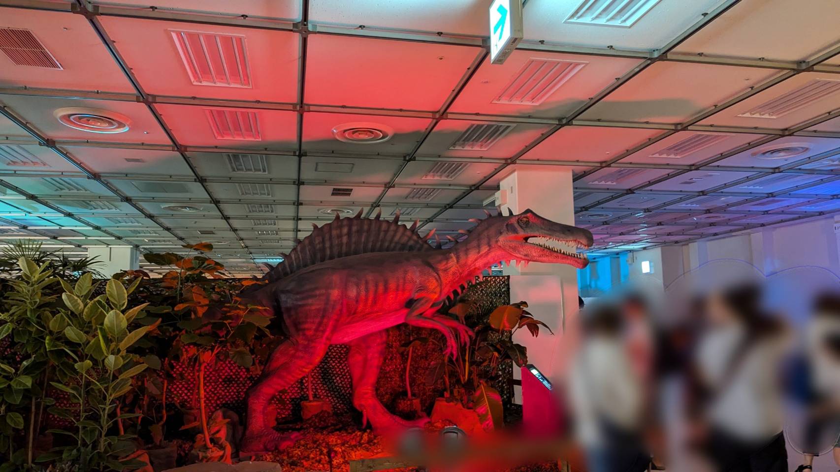 まだ間に合う！この夏最強の東京子連れスポット｜大恐竜図鑑 in TRC | 梅屋敷東通り商店街のパパ